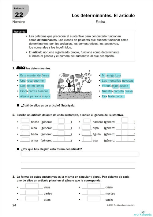 Los determinantes. El artículo. Ficha interactiva | TopWorksheets