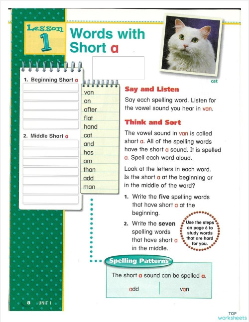 Spelling Lesson 1. Interactive worksheet | TopWorksheets