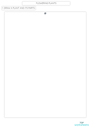 FLOWERING PLANTS. Interactive worksheet | TopWorksheets