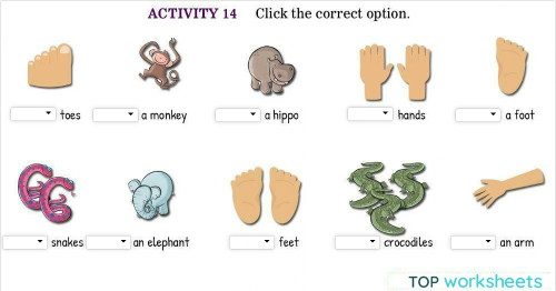 KB107 Section 2 Activity 14. Interactive worksheet | TopWorksheets