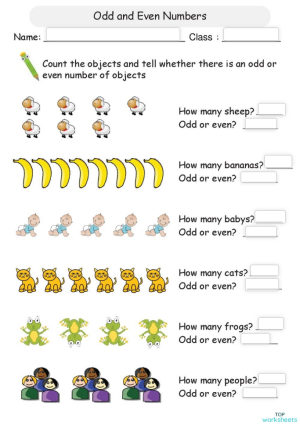 Grade 2 - W10_Lesson 2-1 - Even and odd numbers. Interactive worksheet ...