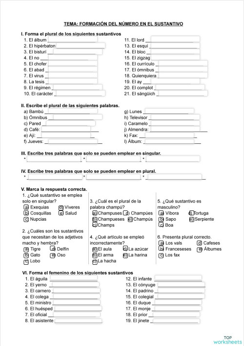 IDENTIFICAR SUSTANTIVOS. Ficha interactiva | TopWorksheets
