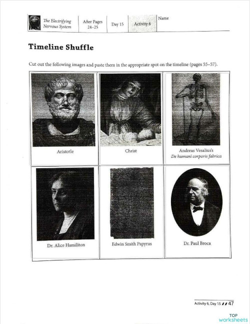 Activity 6: Timeline Shuffle Pg 47-53. Interactive worksheet ...