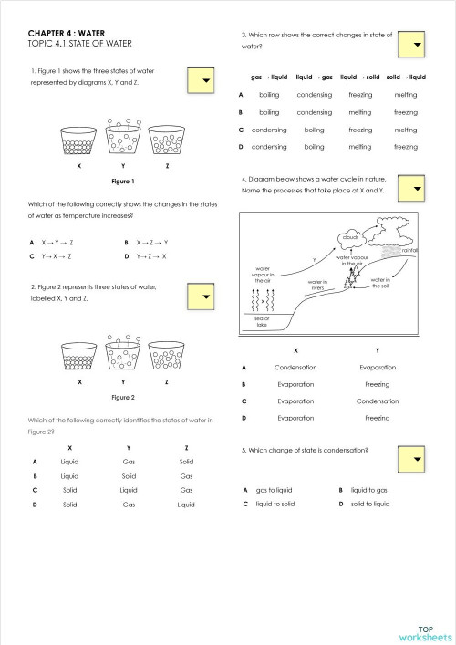 Chapter 4 Water. Interactive worksheet | TopWorksheets