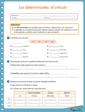 Lengua Castellana: fichas interactivas y ejercicios online | TopWorksheets
