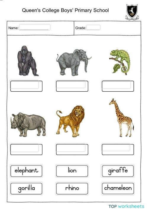Wild animals - drag and drop. Interactive worksheet | TopWorksheets