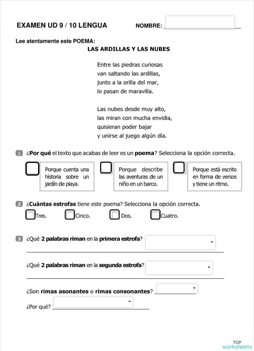Examen temas 9 y 10 Lengua 4º. Ficha interactiva | TopWorksheets
