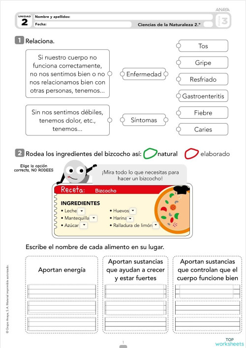 Alimentos: fichas interactivas y ejercicios online | TopWorksheets