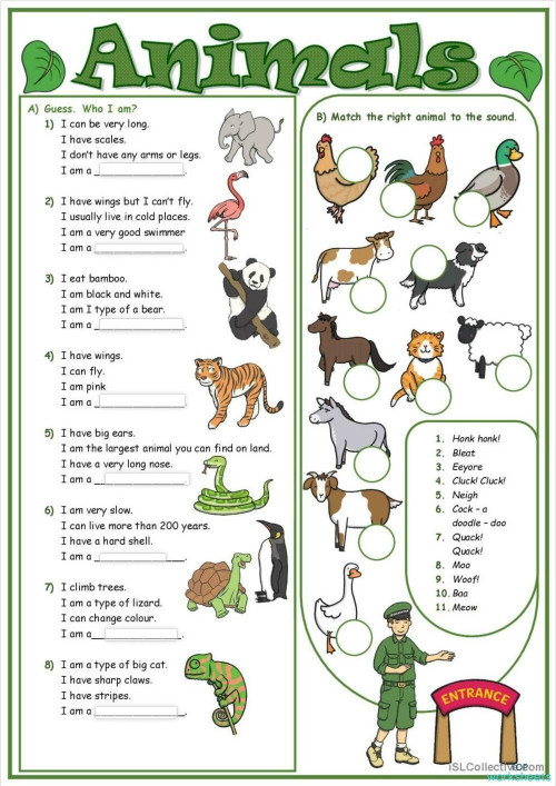 Worksheet writing animals. Interactive worksheet | TopWorksheets