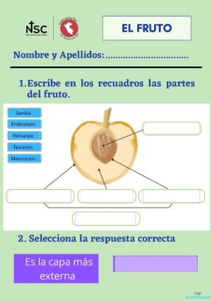 DAD - EL FRUTO. Ficha interactiva | TopWorksheets