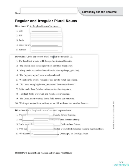 Irregular Plural Nouns. Interactive worksheet | TopWorksheets