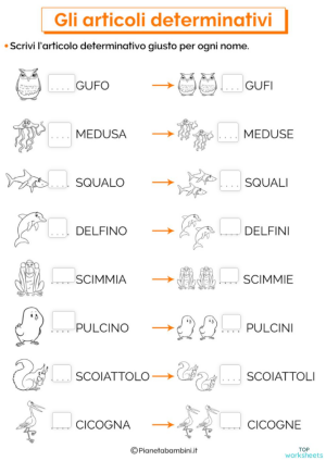 ARTICOLI SINGOLARI E PLURALI. Scheda interattiva | TopWorksheets