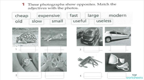 U2E-WB-Vocabulary Adjectives-Activity 1. Interactive worksheet ...