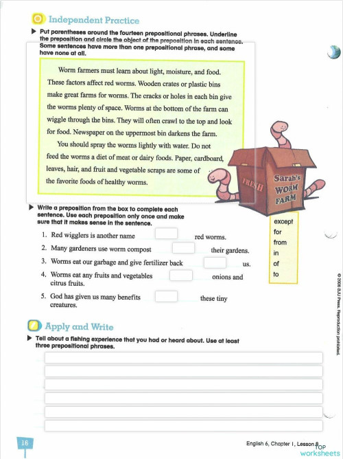 Independent Practice Pg 16. Interactive worksheet | TopWorksheets