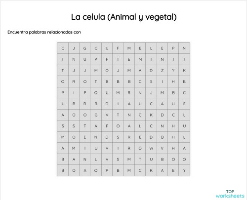 La celula (Animal y vegetal). Ficha interactiva | TopWorksheets