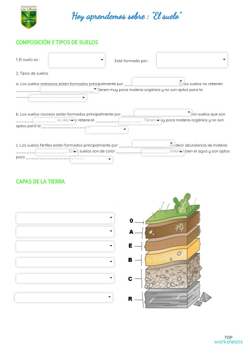 EL SUELO - CUARTO GRADO. Ficha interactiva | TopWorksheets