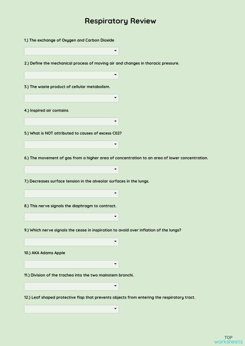 Respiratory Review. Interactive worksheet | TopWorksheets