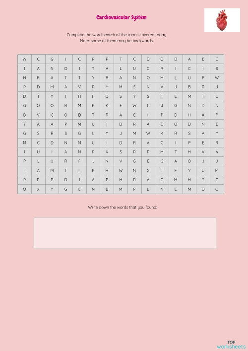 Cardiovascular System Wordsearch. Interactive worksheet | TopWorksheets