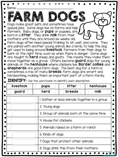 Farm Dogs Comprehension. Interactive worksheet | TopWorksheets