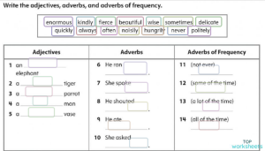 Adjectives And Adverbs Interactive Worksheet Topworksheets