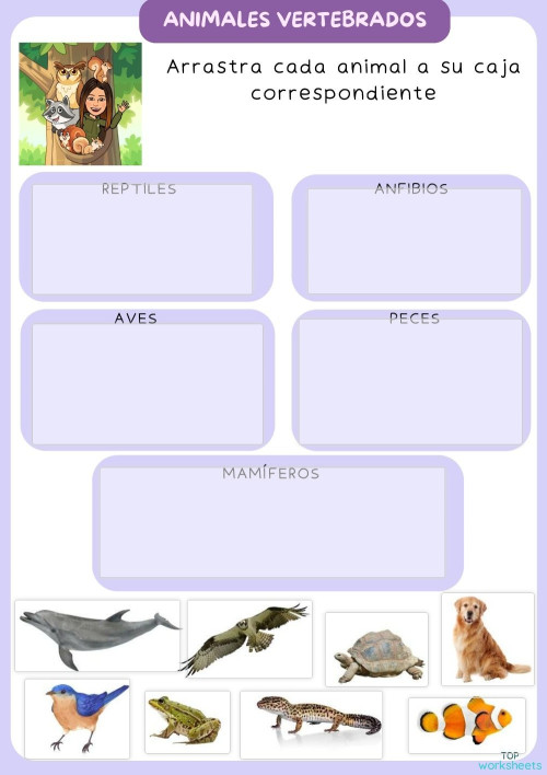 Animales vertebrados. Ficha interactiva | TopWorksheets
