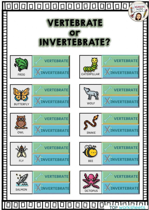Vertebrate or invertebrate animal. Interactive worksheet | TopWorksheets