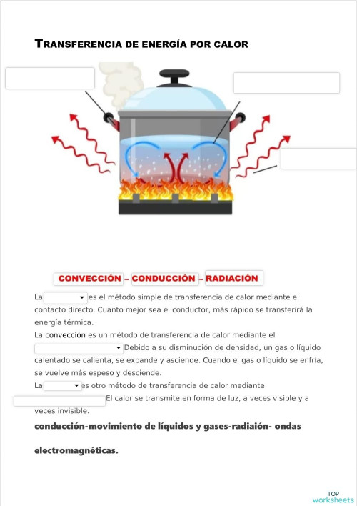 Transferencia Ficha Interactiva Topworksheets