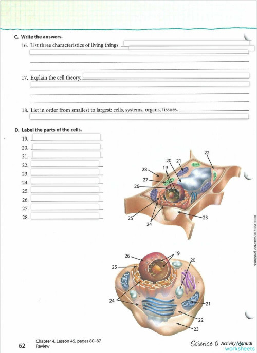 Lesson 45: Study Guide Pg 62. Interactive worksheet | TopWorksheets