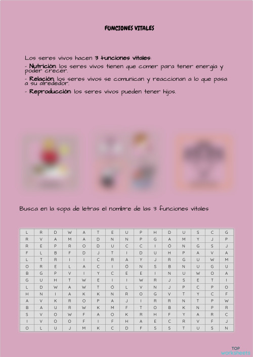 Las funciones vitales. Ficha interactiva | TopWorksheets