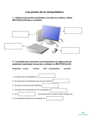 Las partes de la computadora. Ficha interactiva | TopWorksheets