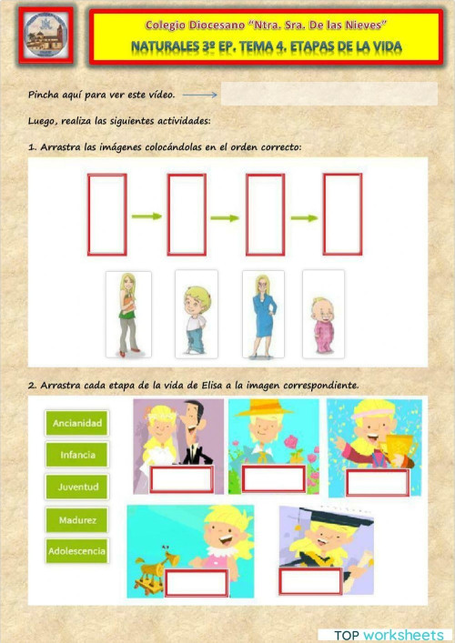 Tema 4. Las etapas de la vida. Interactive worksheet | TopWorksheets