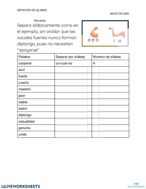 Division De Silabas En Espanol