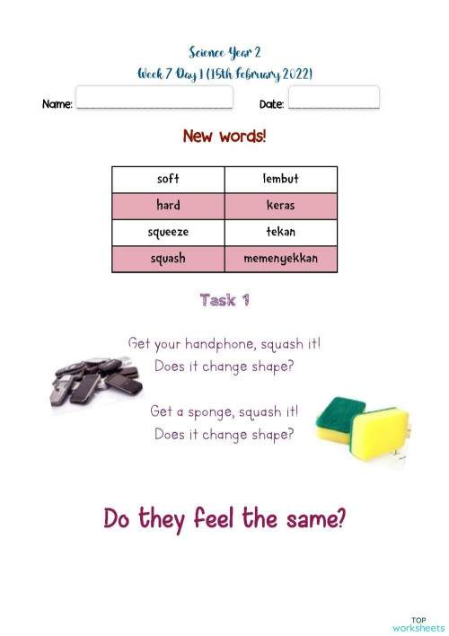Hard and Soft. Interactive worksheet | TopWorksheets
