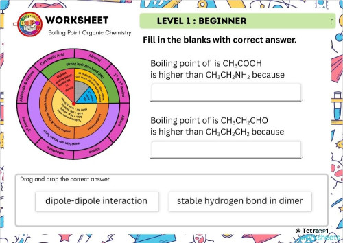 BoPo BEGINNER 2. Interactive worksheet | TopWorksheets