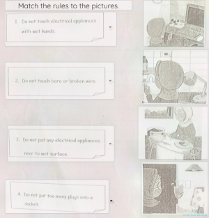 Science Year 3_Revision_17-11-2021. Interactive worksheet | TopWorksheets