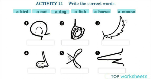 Kb 105-s01-12. Interactive worksheet | TopWorksheets