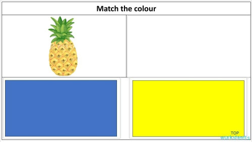 match the colour and picture. Interactive worksheet | TopWorksheets