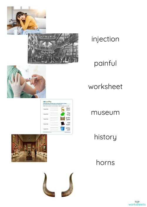 Read and match. Interactive worksheet | TopWorksheets