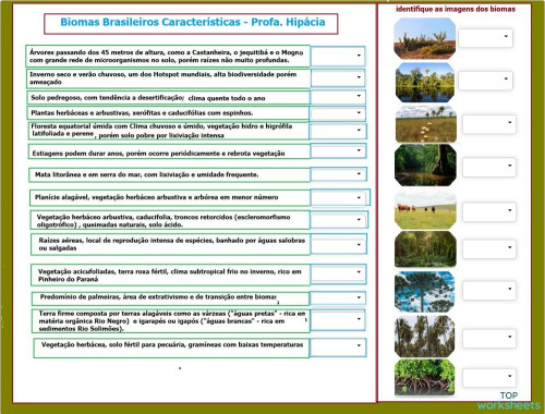 Biomas brasileiros - imagens e características. Ficha interativa ...
