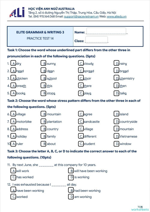 Grammar Unit 8 Reinforcement. Interactive worksheet | TopWorksheets