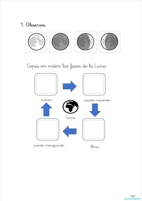 Fases de la luna. Ficha interactiva | TopWorksheets