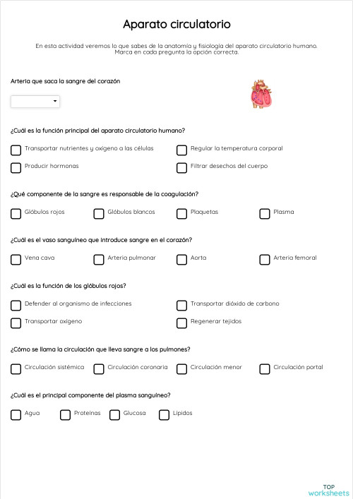Aparato circulatorio. Ficha interactiva | TopWorksheets