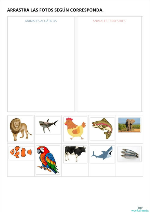 Ficha De Animales Terrestres Y Acuáticos
