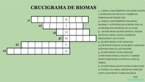 Hojas De Trabajo Imprimibles Sobre Biomas