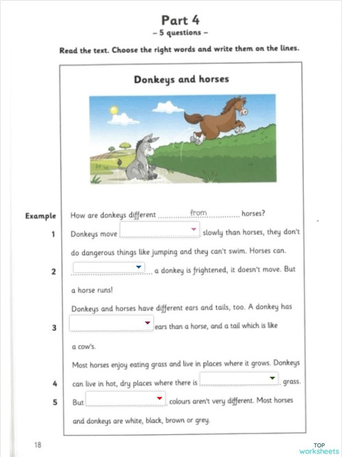 Horses and Donkeys reading p.4. Interactive worksheet | TopWorksheets