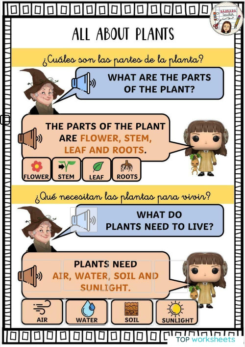 all about plants. Interactive worksheet | TopWorksheets