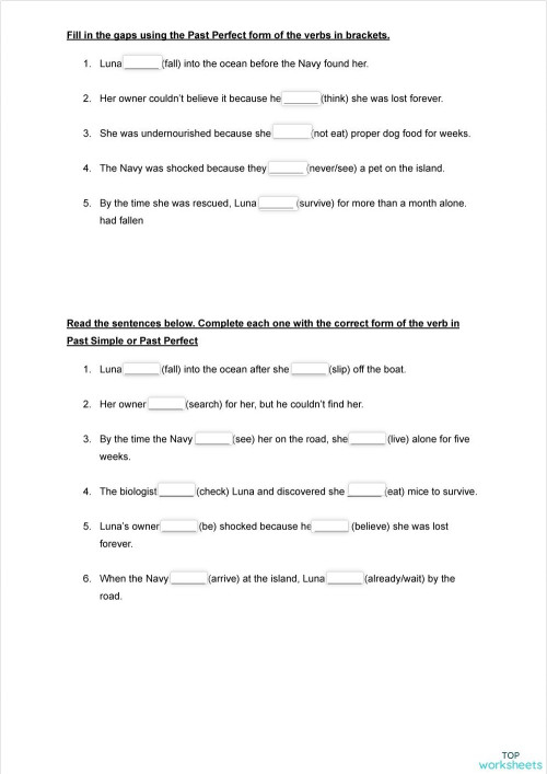 Past perfect practice. Ficha interactiva | TopWorksheets