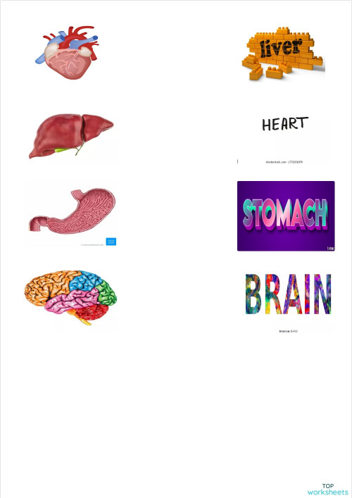 Natural Science Unit 4. Sensitivity. Interactive worksheet | TopWorksheets