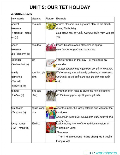 Unit 6. Interactive worksheet | TopWorksheets