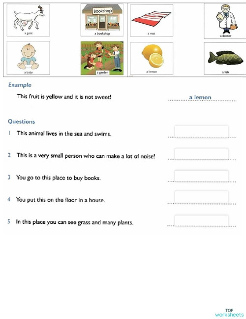 MOVERS SUCCEED READING 6. Interactive worksheet | TopWorksheets